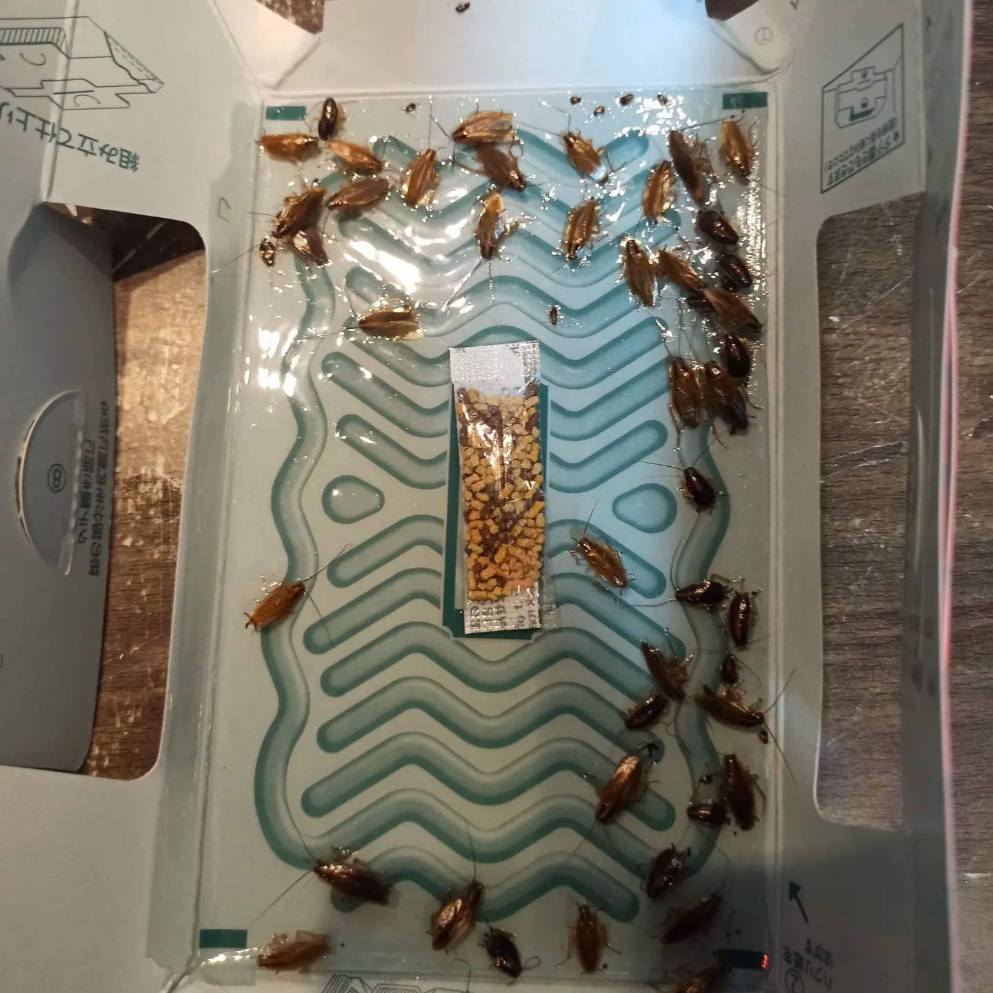 Services - Manipest-Pest Control Specialist